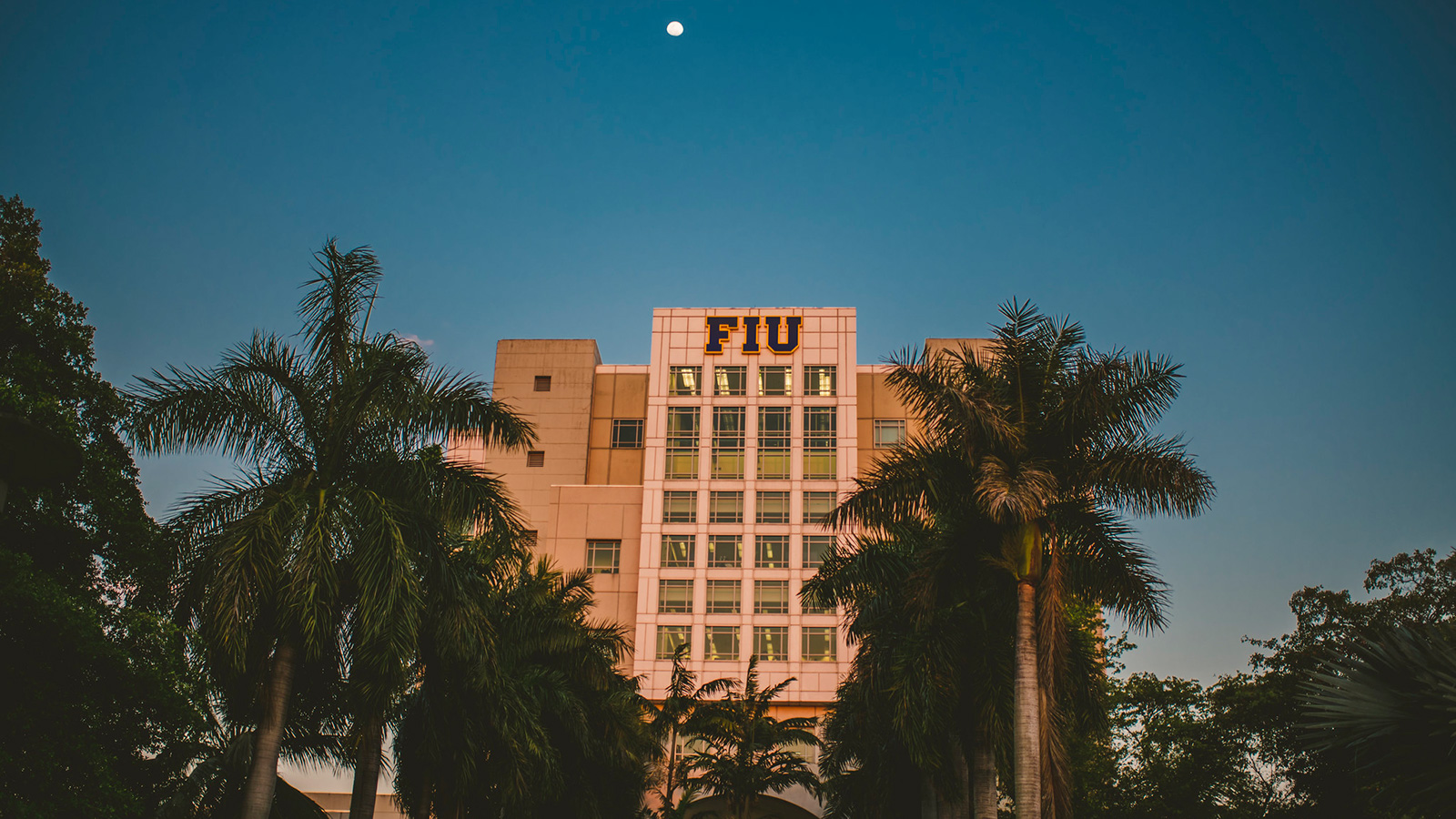 Undergraduate | FIU Department of History